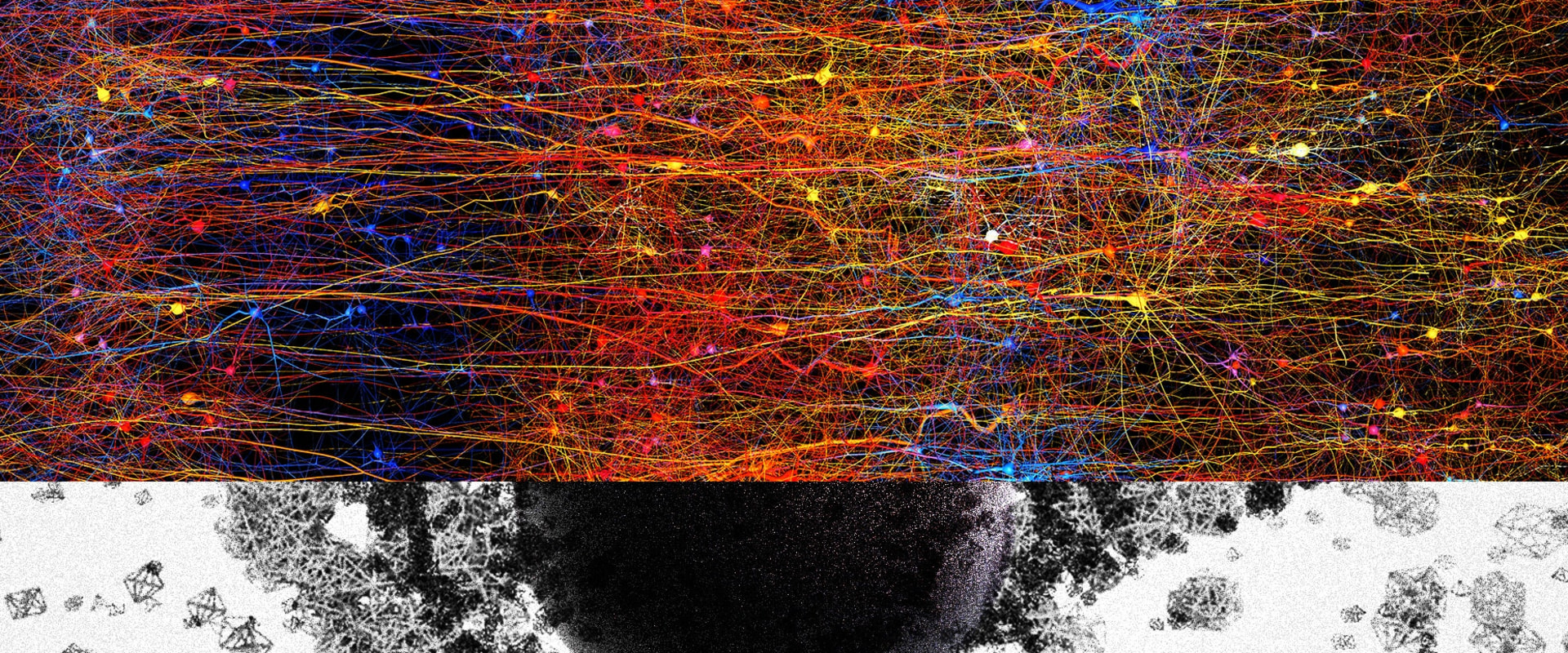 How Does Math Effect The Brain How Does Math Effect The Brain